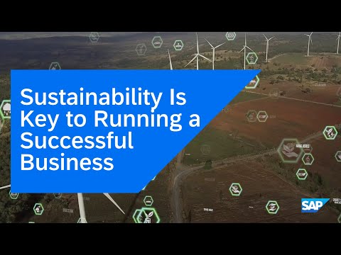 Most Businesses Say Sustainability Contributes to a Competitive Edge ...